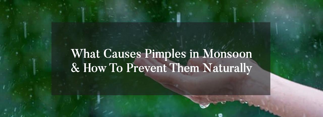 What Causes Pimples in Monsoon and Natural Prevention Tips – OHRIA AYURVEDA